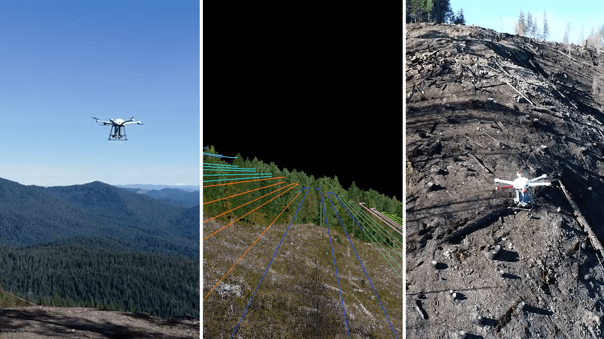 DroneSeed: Huge drones are helping replant forests after wildfires