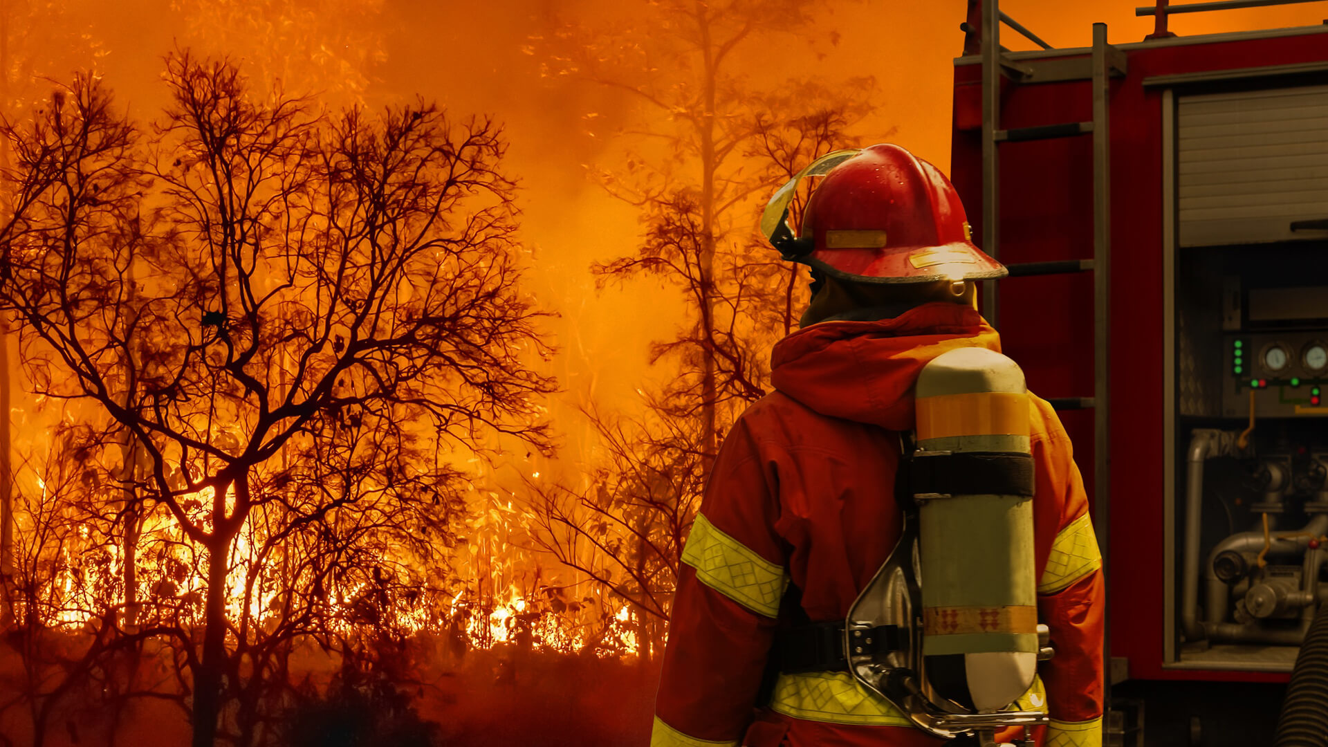 Dryad technology helps firefighters detect forest fires 'ultra early'