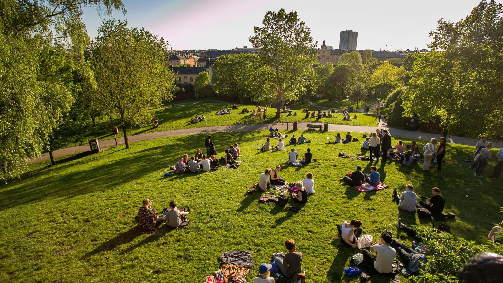 Bushes and trees can reduce air pollution on playgrounds by 50%