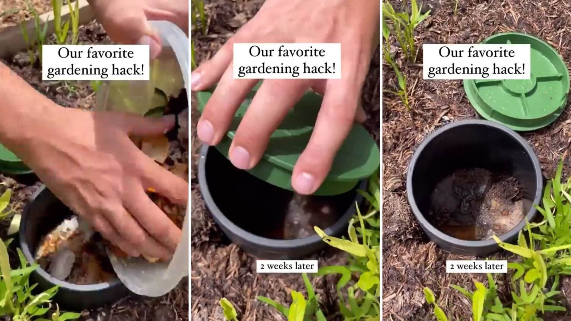 Gardeners reveals $6 solution to make backyard composting easy