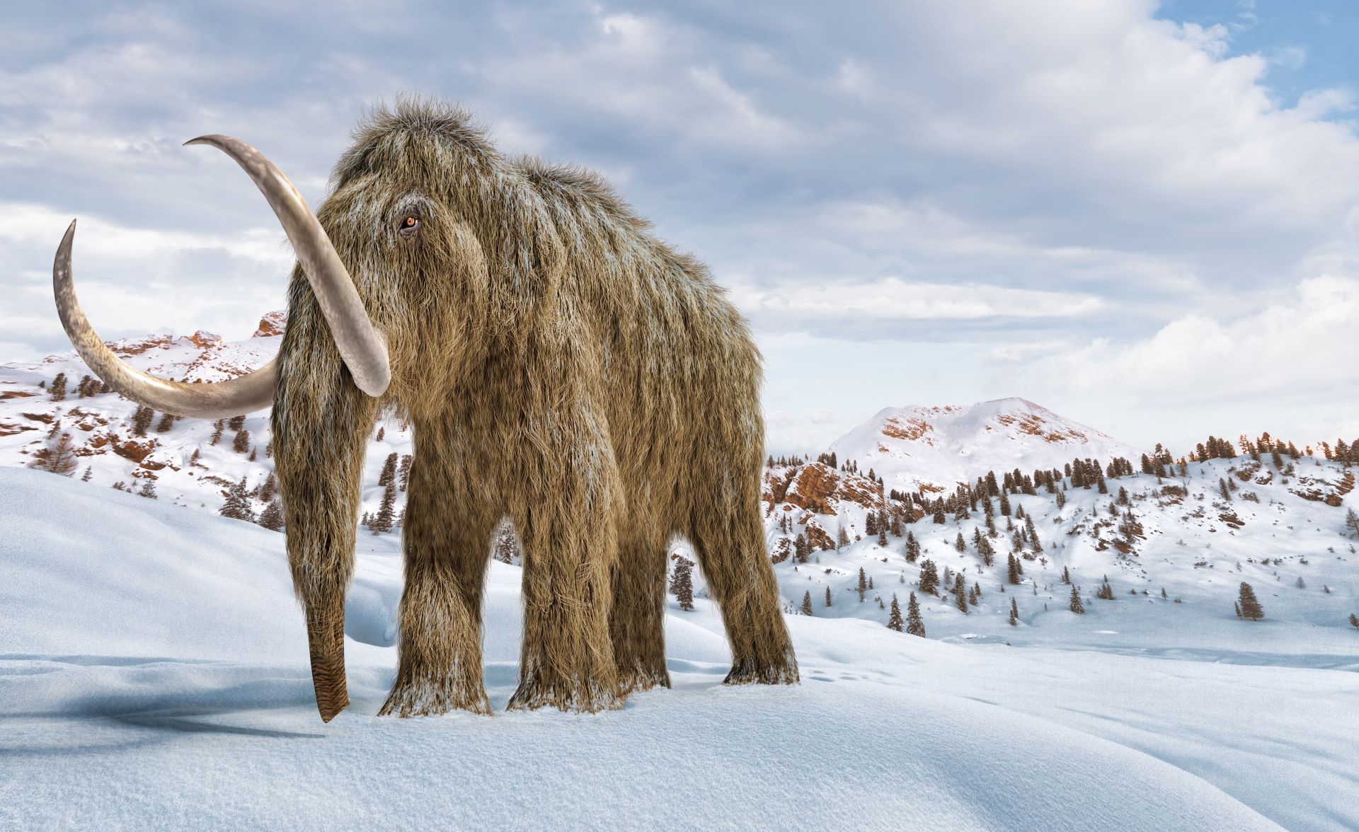 Startup Colossal plans to 'revive' the long-extinct wooly mammoth
