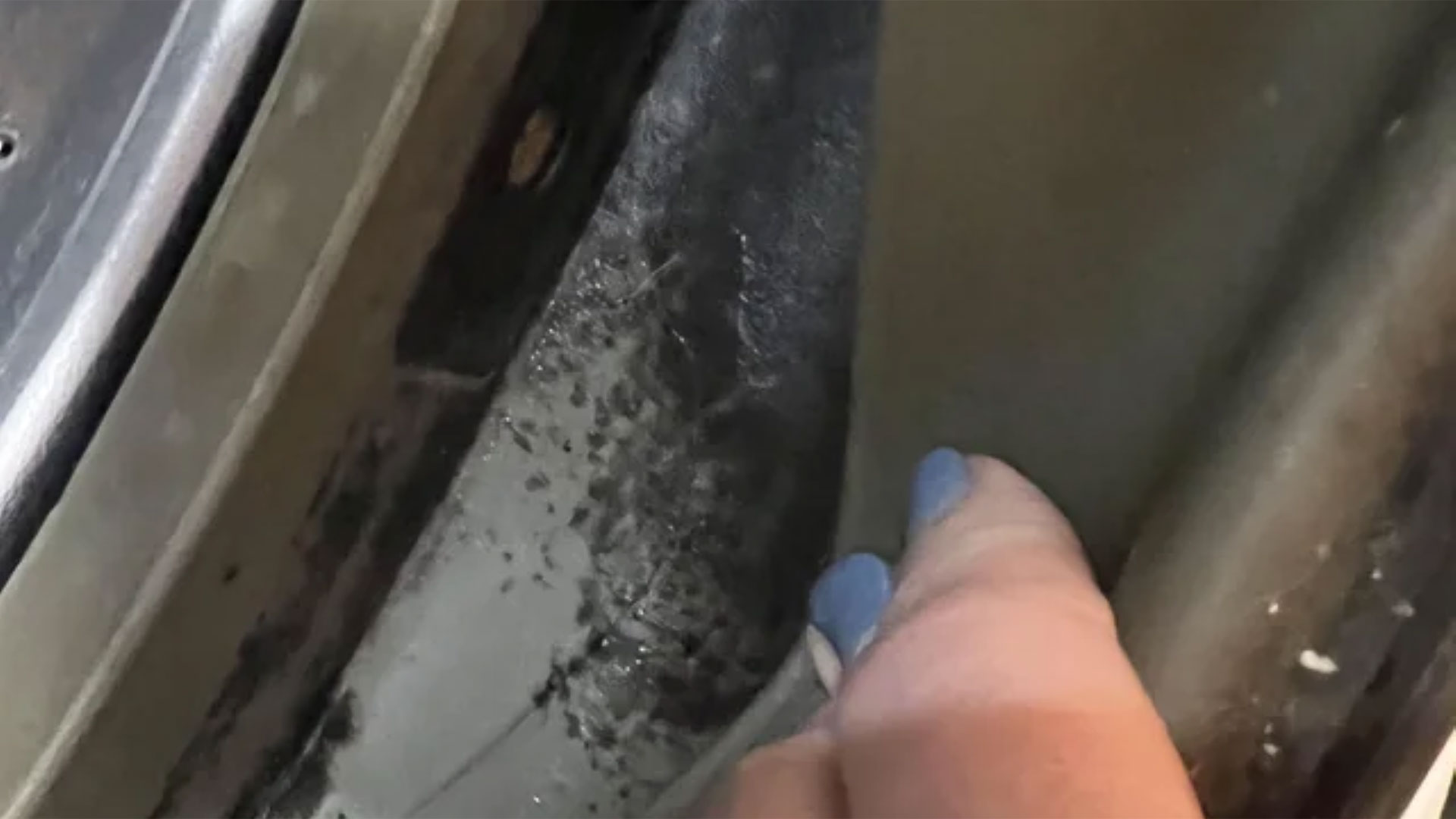 Redditor shares 'gross' potential side effects of using fabric softener