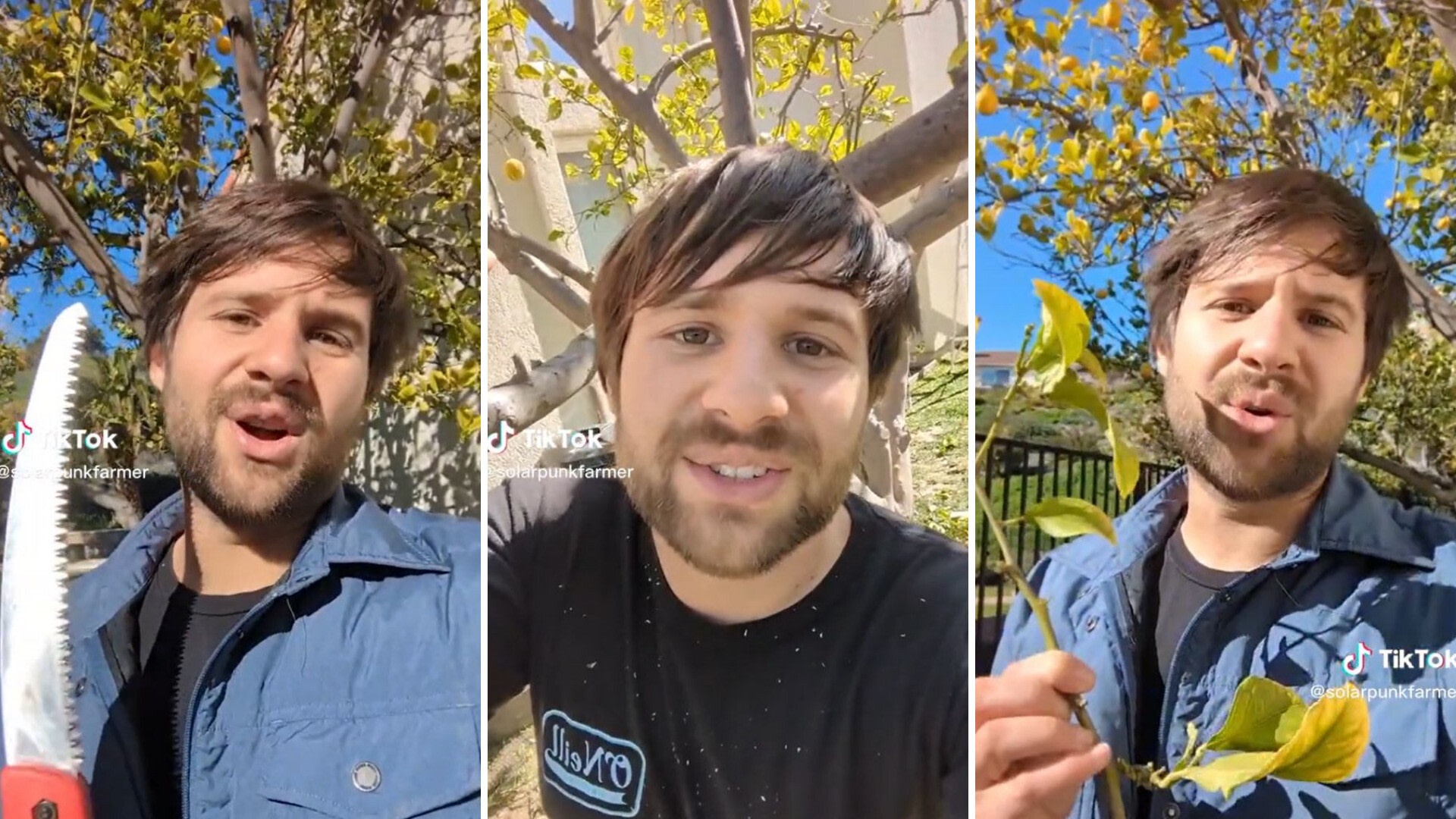 TikToker shares 'awesome' hack to naturally help fruit trees thrive