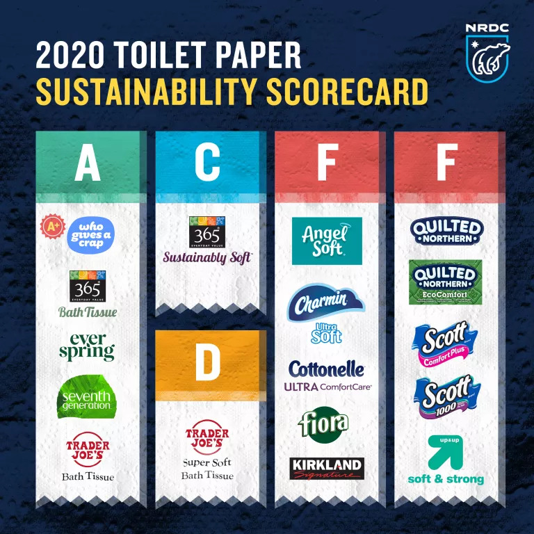 Making toilet paper requires a ton of trees, but it doesn't have to