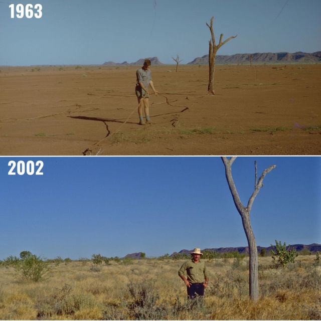 The Ord River Regeneration Reserve shows how land can be restored