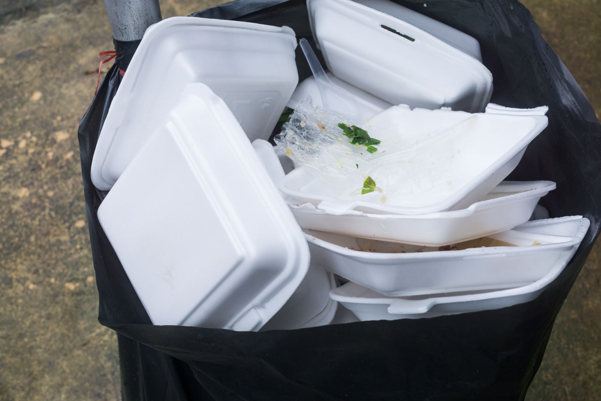 Oregon just banned styrofoam — here's how it affects you