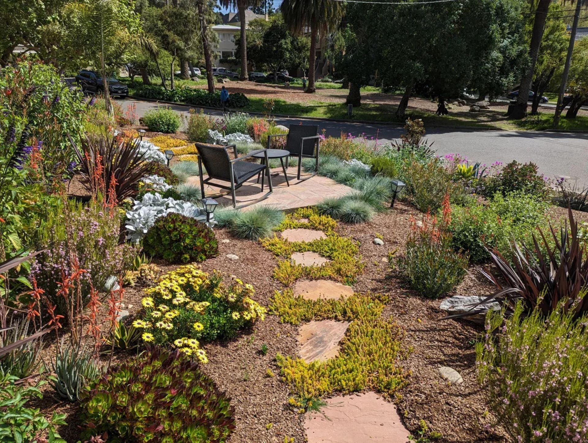 Redditor shares their native lawn after ditching their grass lawn