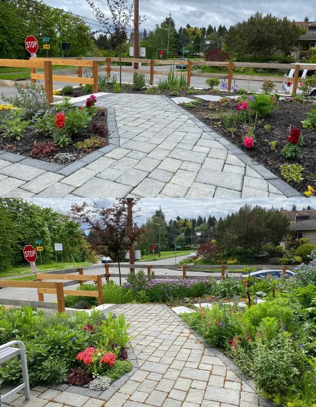 Redditor shares vibrant before and after of their native lawn