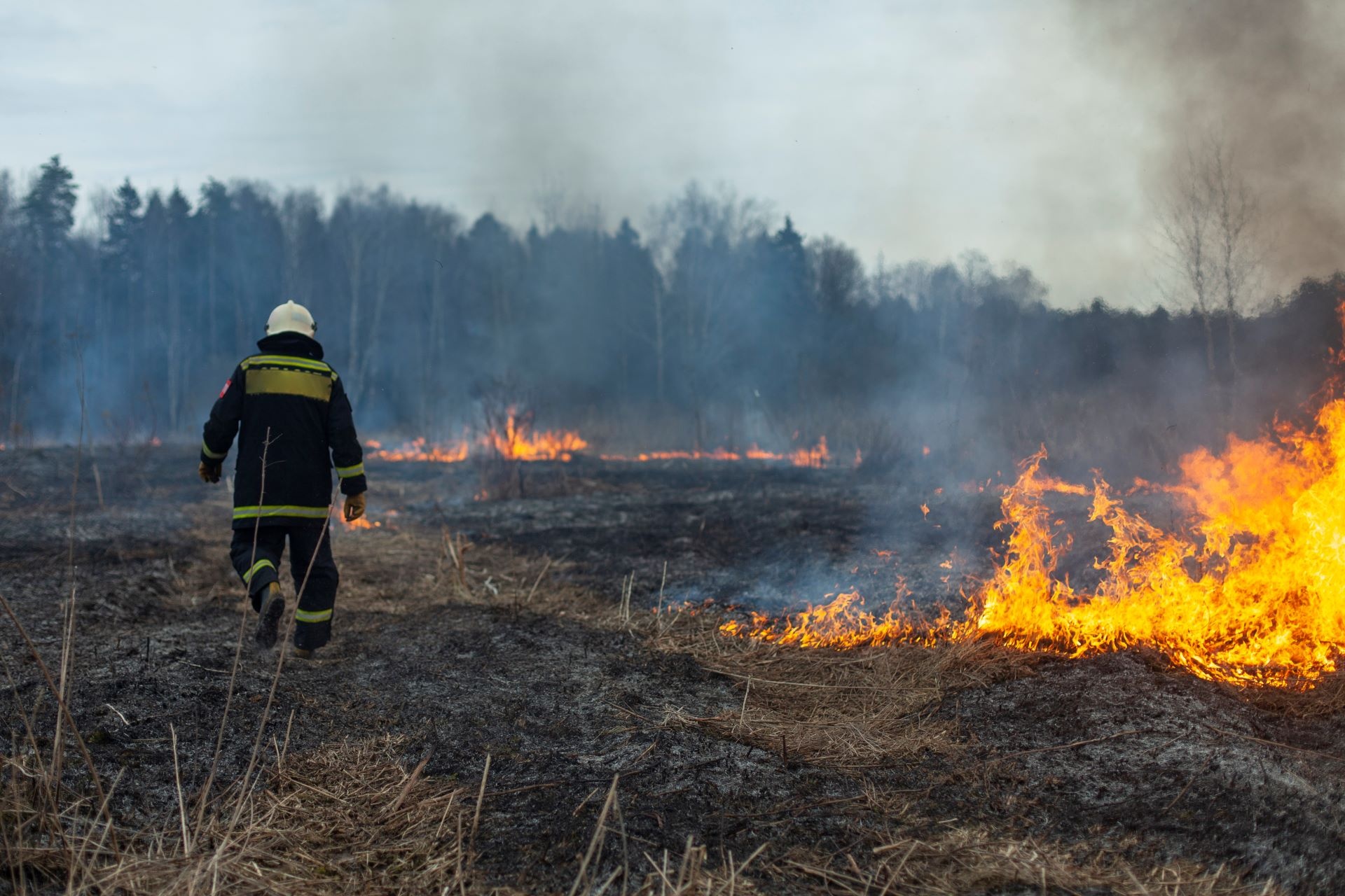 Wildfires are getting worse across the East Coast, new study shows