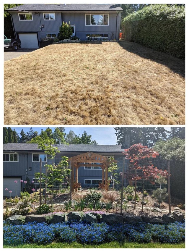 Redditor shares stunning 'grass-free' lawn transformation