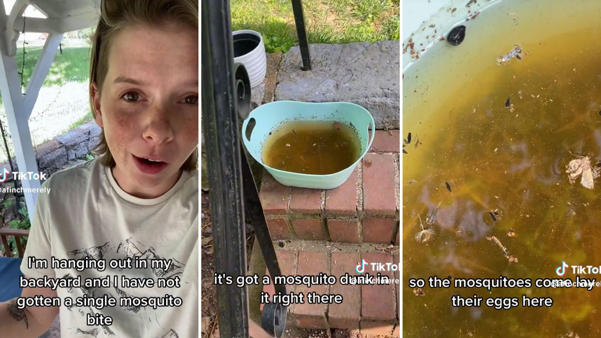 TikToker shows how Mosquito Dunks keep mosquitoes away