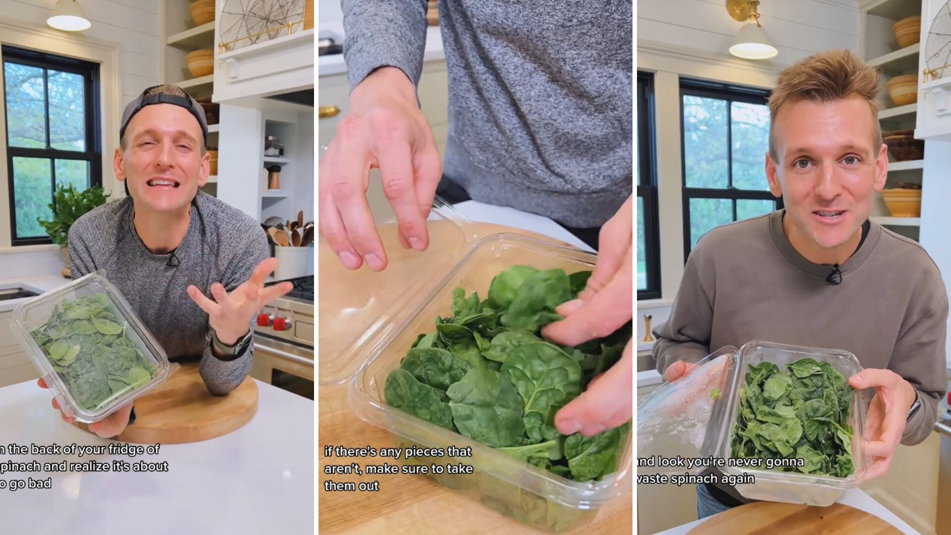 TikToker shares unbelievably simple hack for saving spinach before it ...