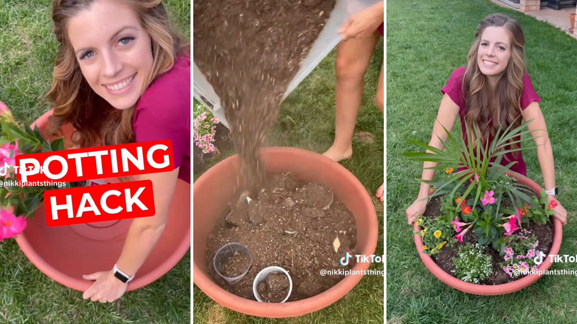 TikToker shares simple hack for planting flowers in your garden