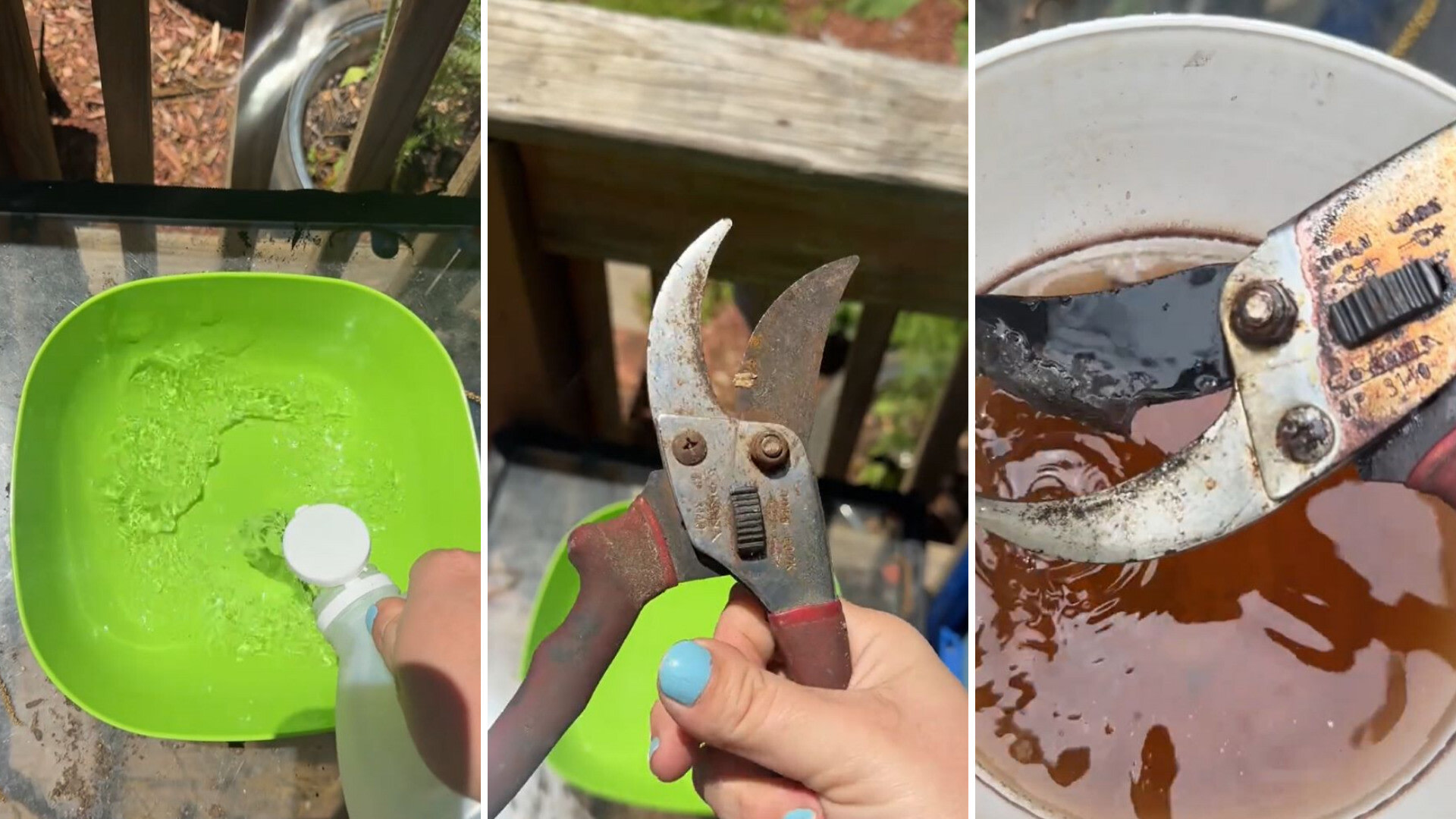 Novice gardener shocked by inexpensive hack to remove rust from tools ...