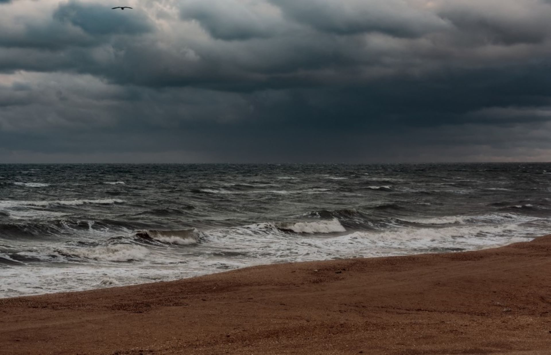 Disturbing video of beach in Guatemala sparks concern on social media ...