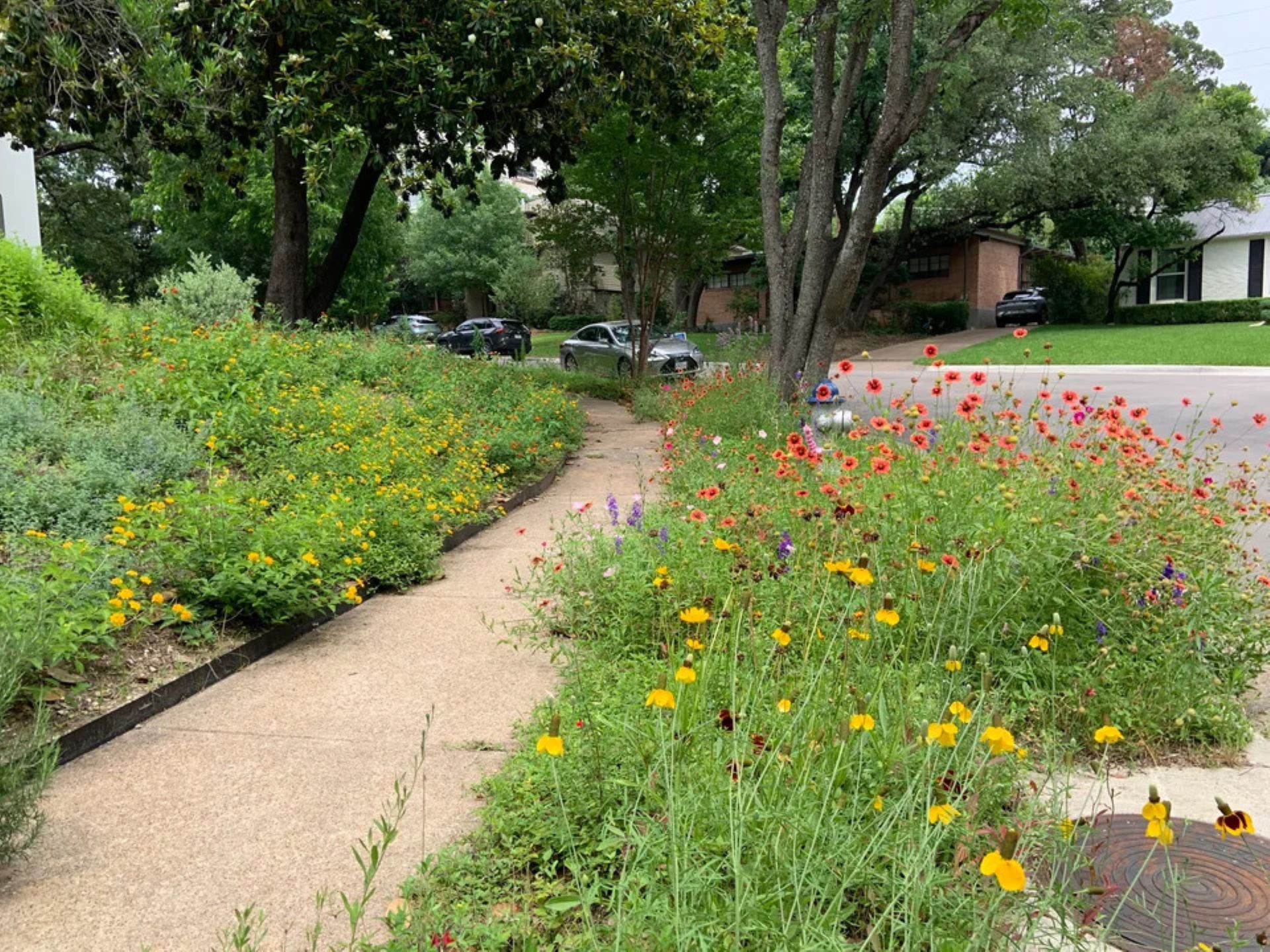 Homeowner shares ‘beautiful’ progress photo after swapping their grass ...