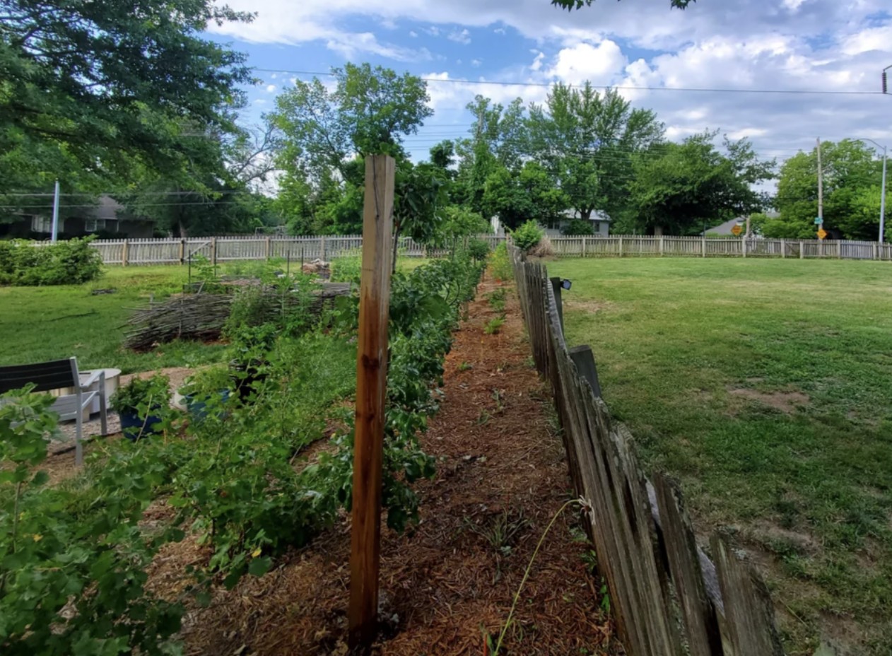 Homeowner shares striking side-by-side photo showing how much their ...