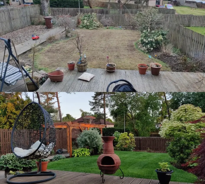 Homeowner shares before-and-after photos of their inspiring lawn ...