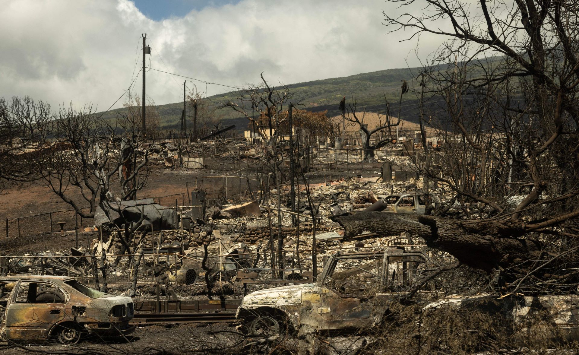 Experts explain rare combination of events that caused devastating Maui ...