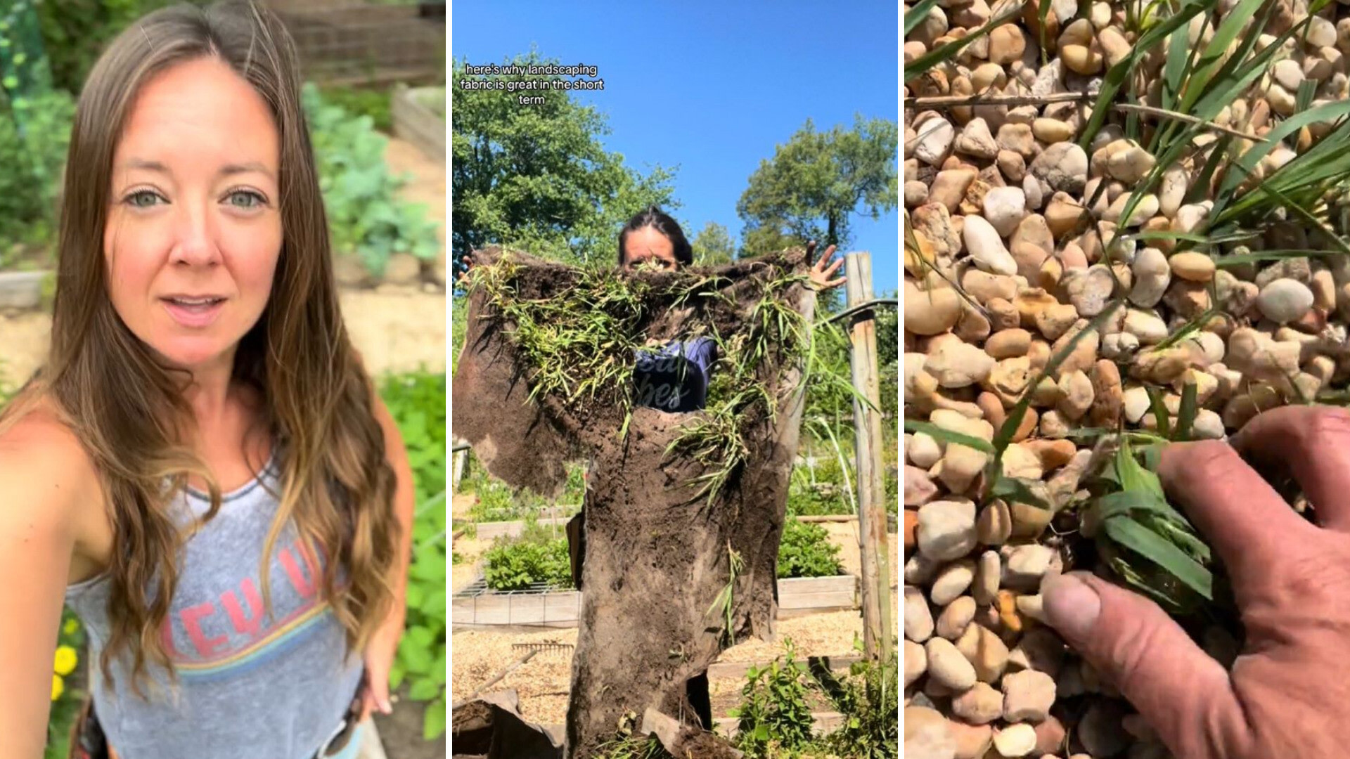 Gardener urges others to avoid using a common, seemingly helpful backyard product: ‘Worst thing ...