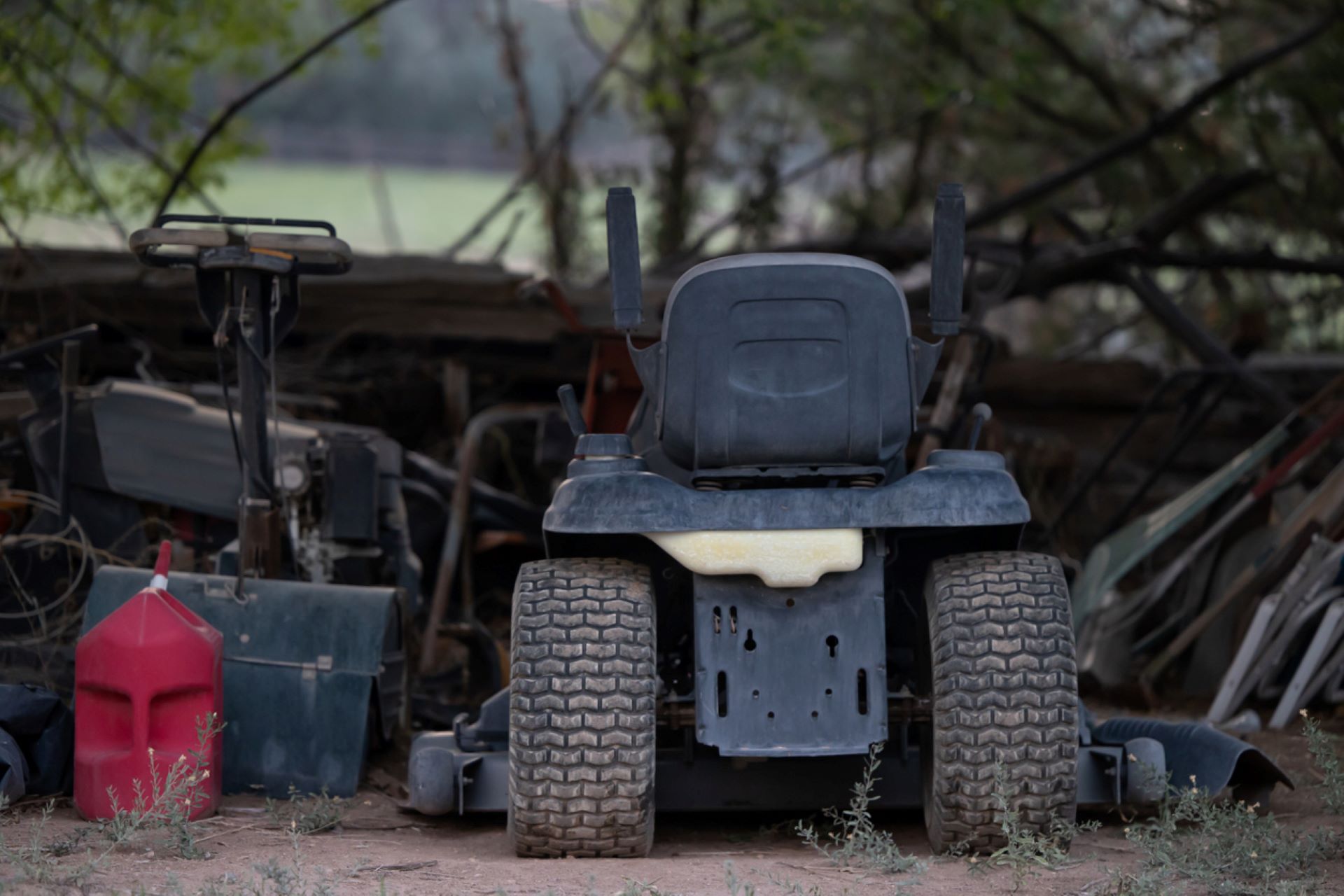 Homeowner shares shocking photo of their lawn after not mowing it for ...