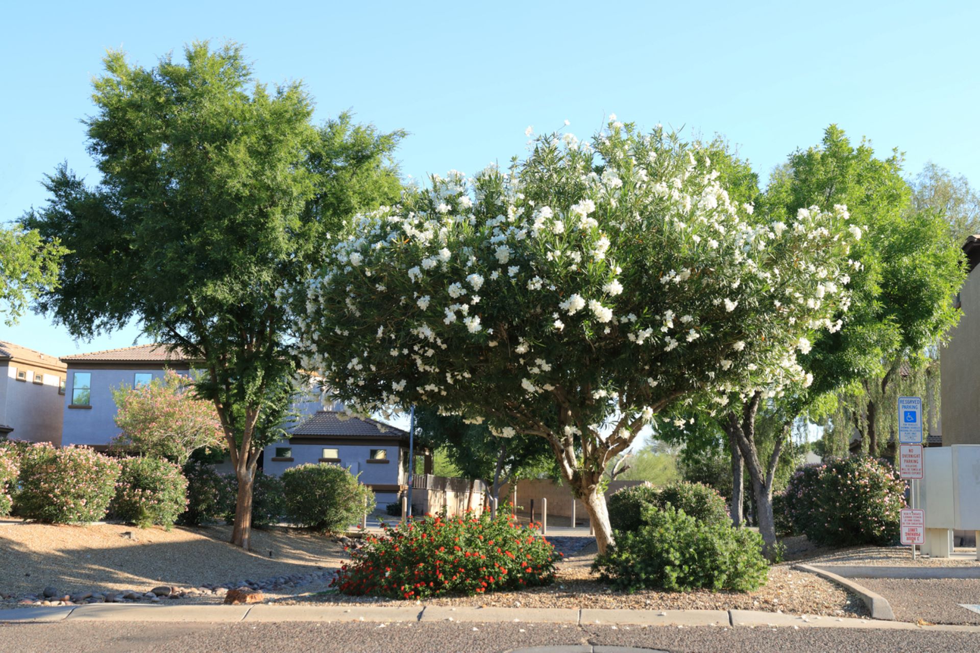 HOA stuns community after setting unprecedented standards for ...