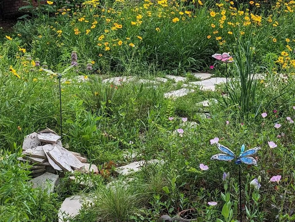 Homeowner shares striking before-and-after photos of their 'anti-lawn ...