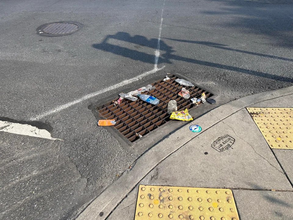 Good samaritan shares before-and-after photos after cleaning up litter ...