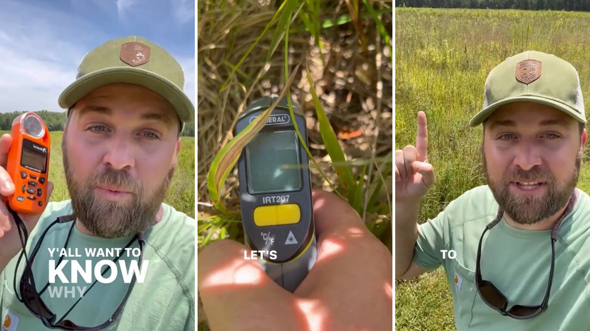 TikToker shares stunning side effect of owning a grass lawn: 'Let's use ...