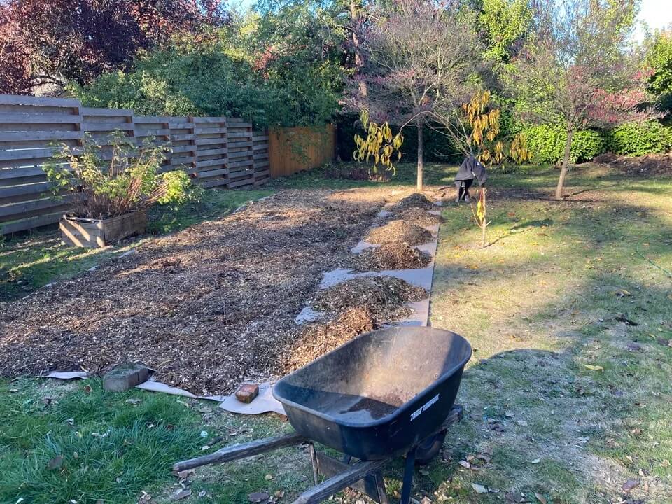 Gardener shares before-and-after photos of transformation from barren ...