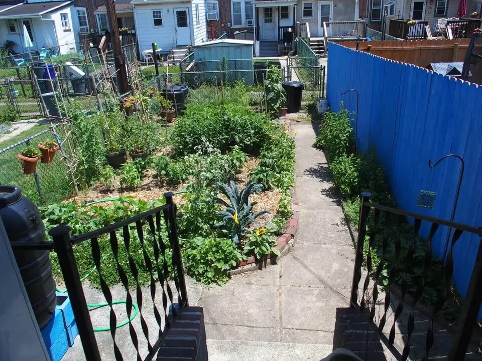 Homeowner shares before-and-after photos of their tiny backyard ...