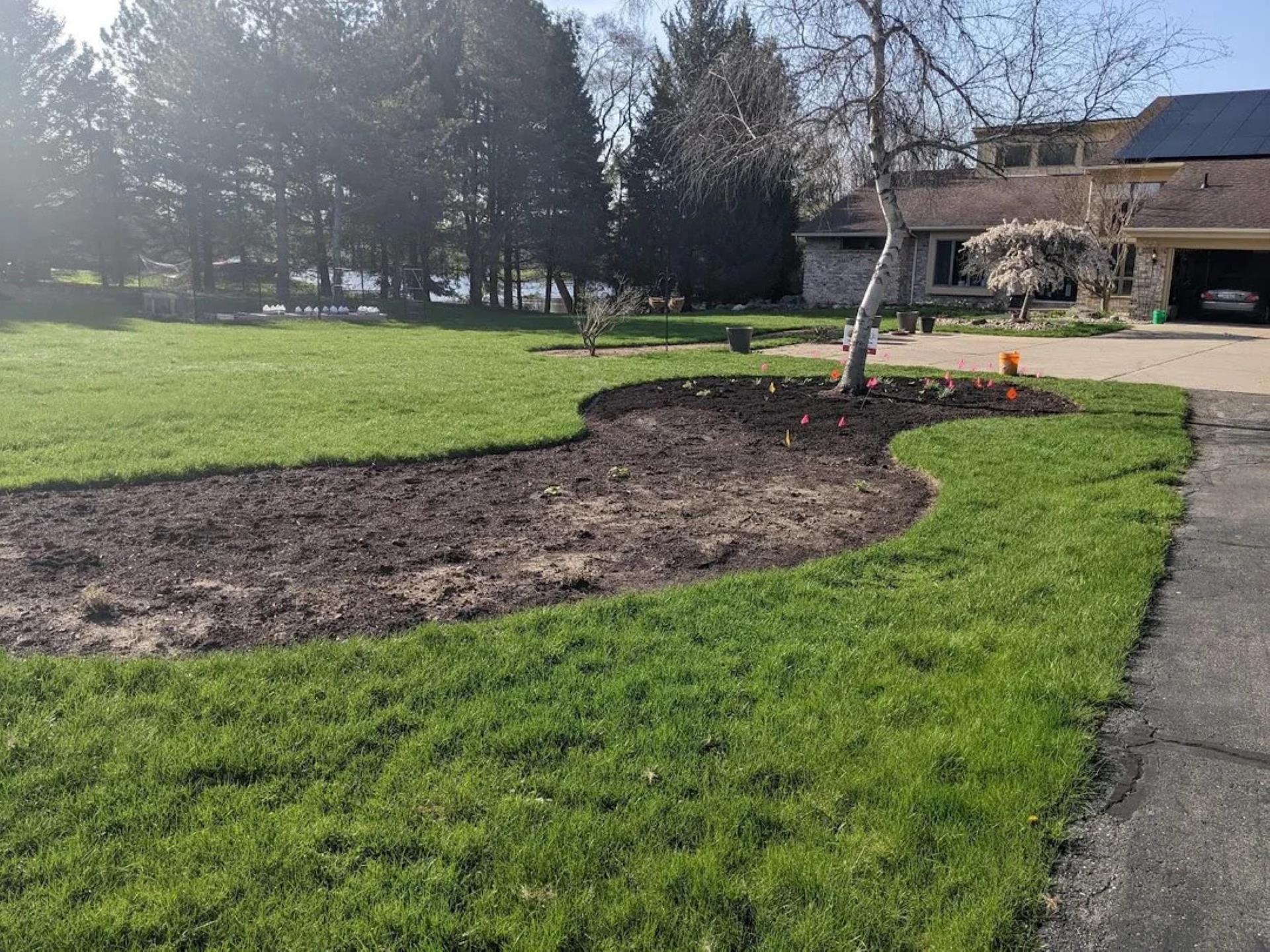 Homeowner shares stunning before-and-after photos of native lawn ...