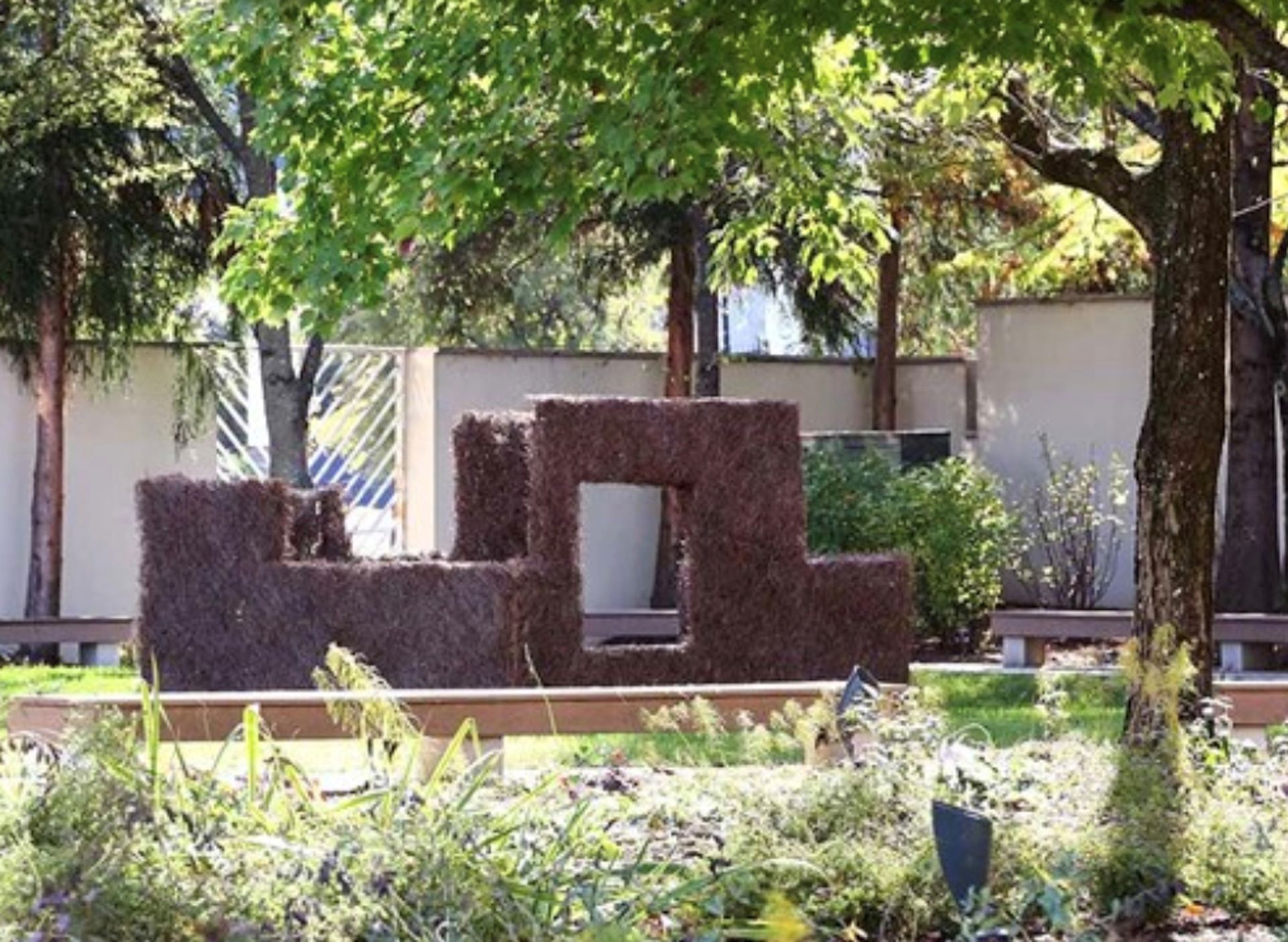 Architects build structures using costly invasive species and other ...