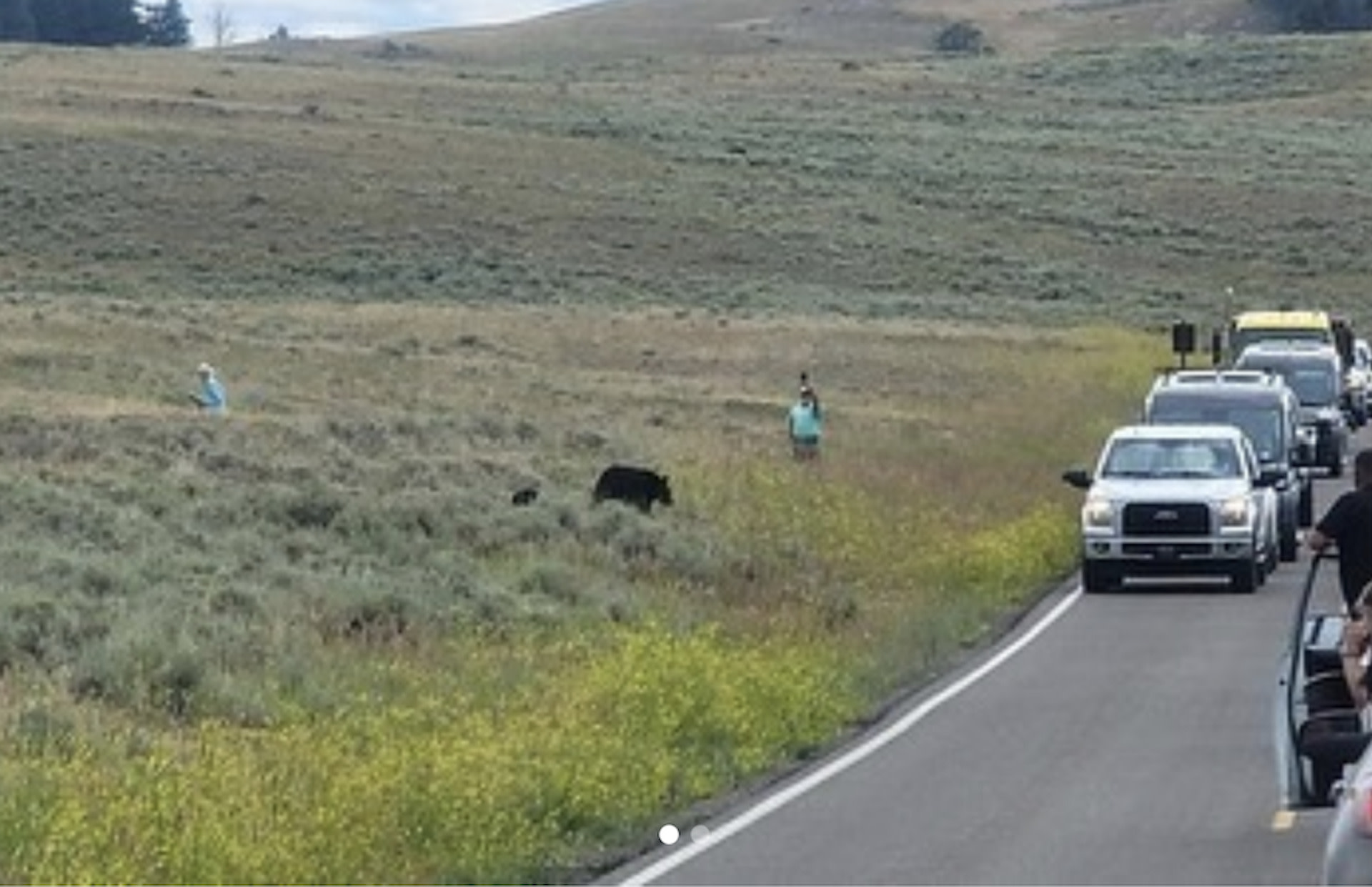 Photo of 'tourons' tempting fate for selfies with wildlife sparks ...