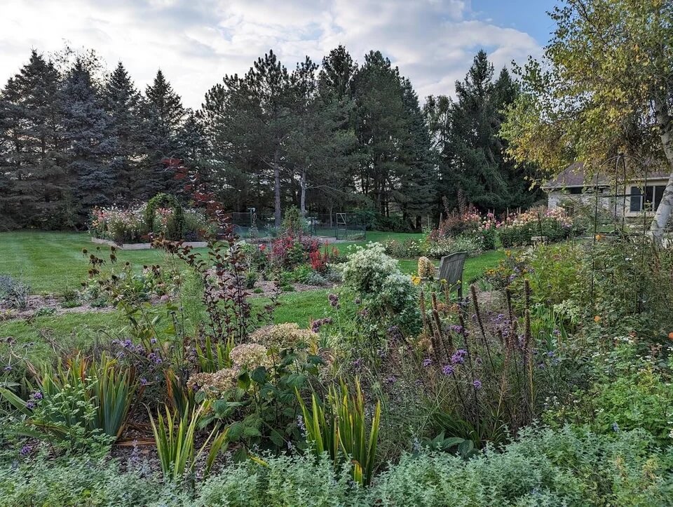 Homeowner shares stunning before-and-after photos of native lawn ...