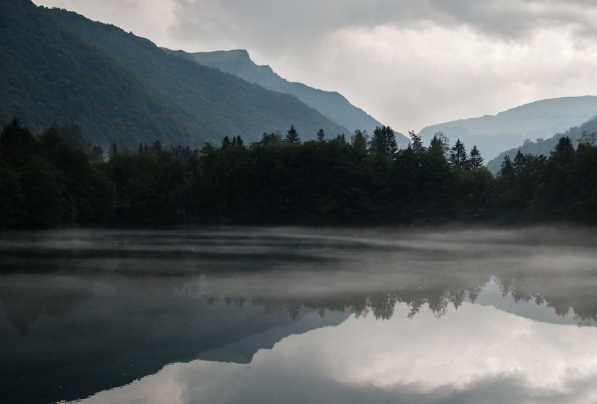 Locals concerned after crucial waterway fills with alarming 'zombie ...