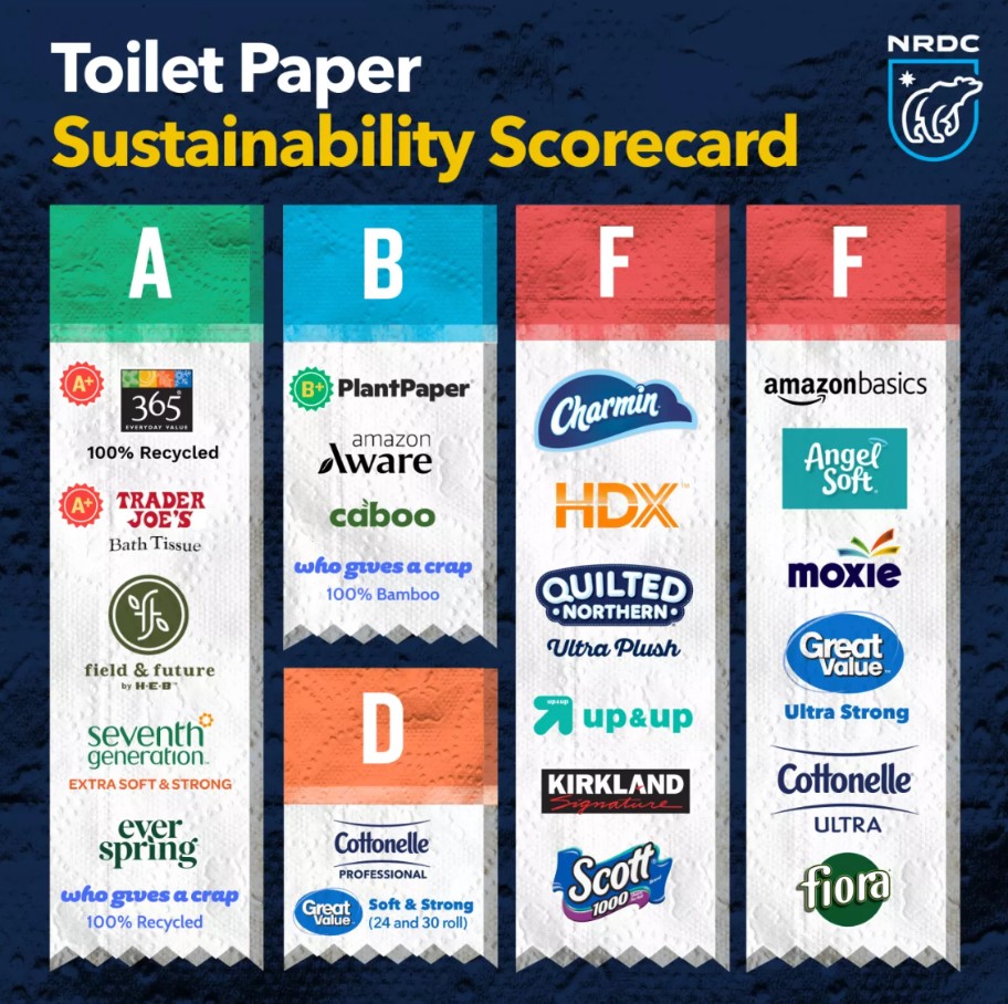 New report uncovers dirty truth about beloved toilet paper brands ...