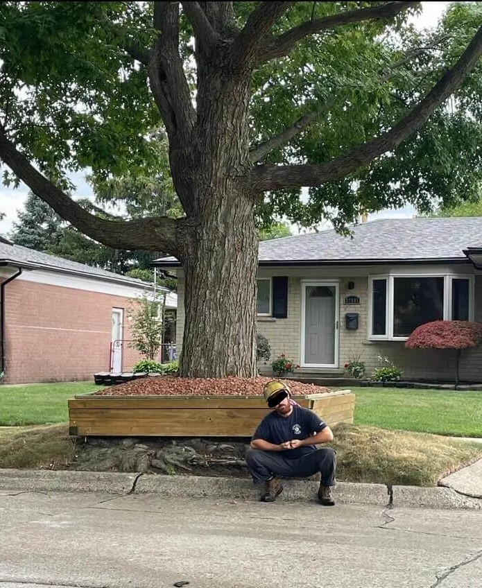 Tree expert issues warning against 'abhorrent' landscaping trend with ...