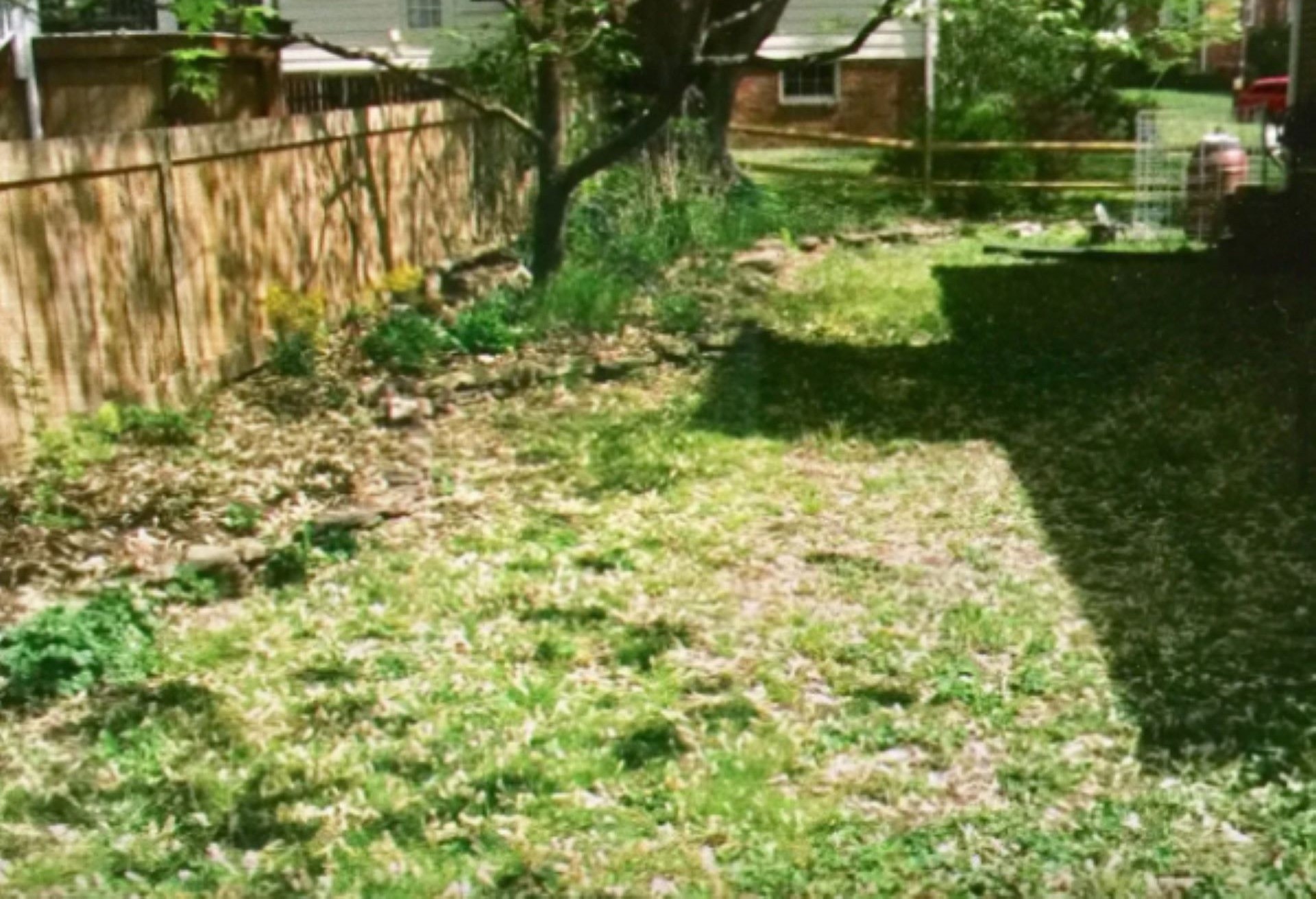 Homeowner shares before-and-after photos after turning their yard into ...