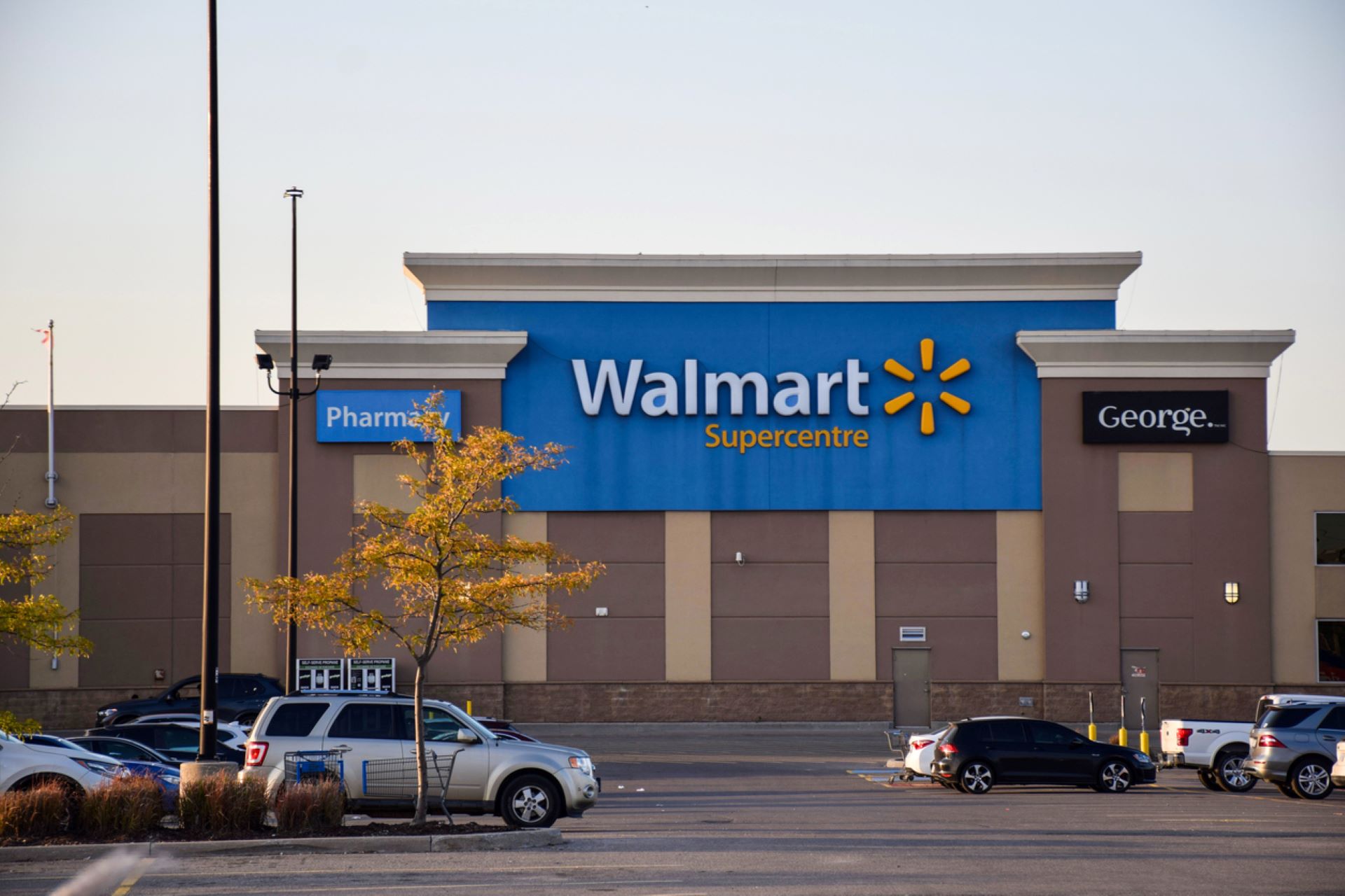 Walmart customer makes 'ridiculous' discovery in their delivery order ...