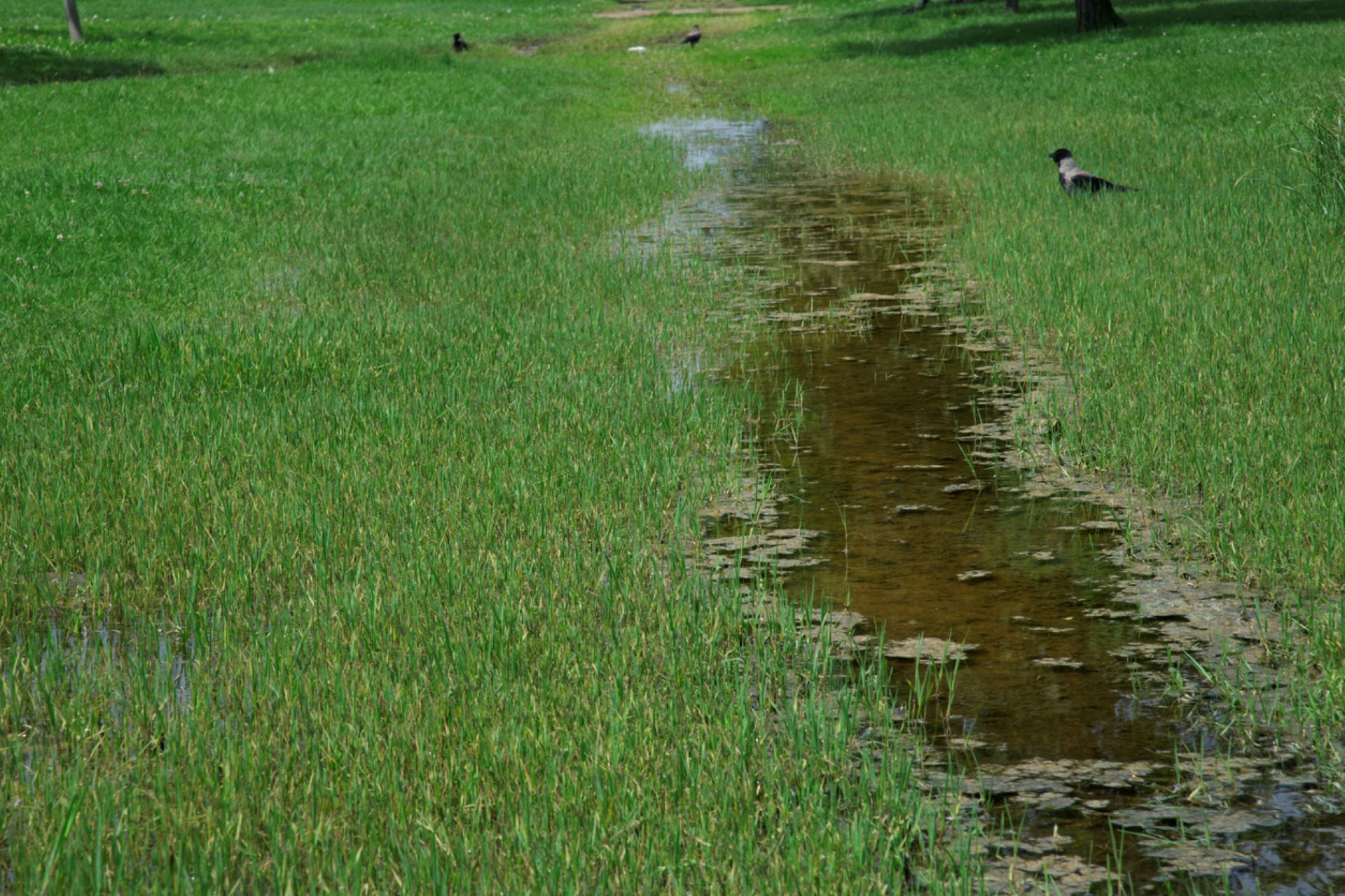 Homeowner shares incredible before-and-after photos after transforming ...