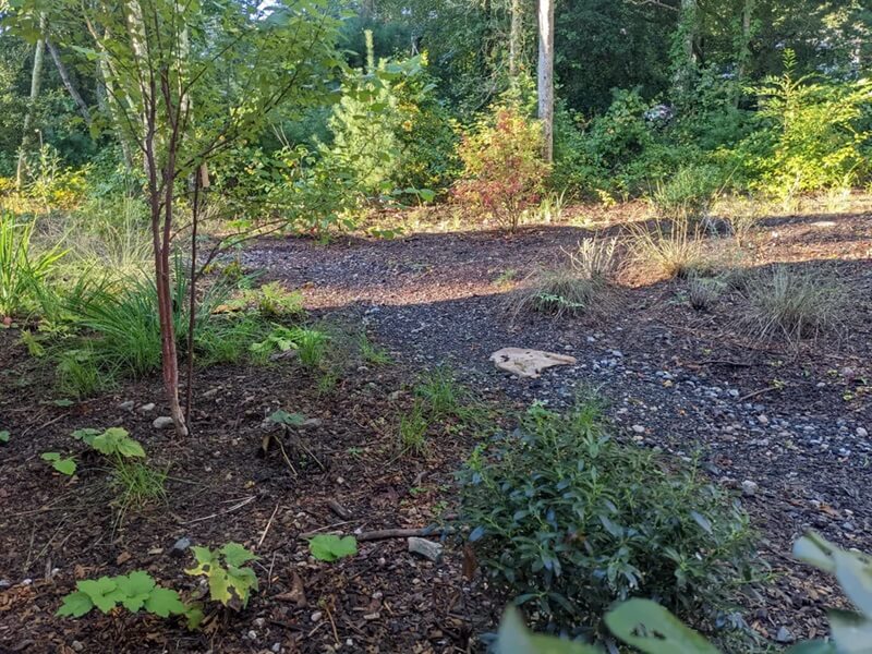 Landscaper shares impressive photos after implementing new lawn design ...