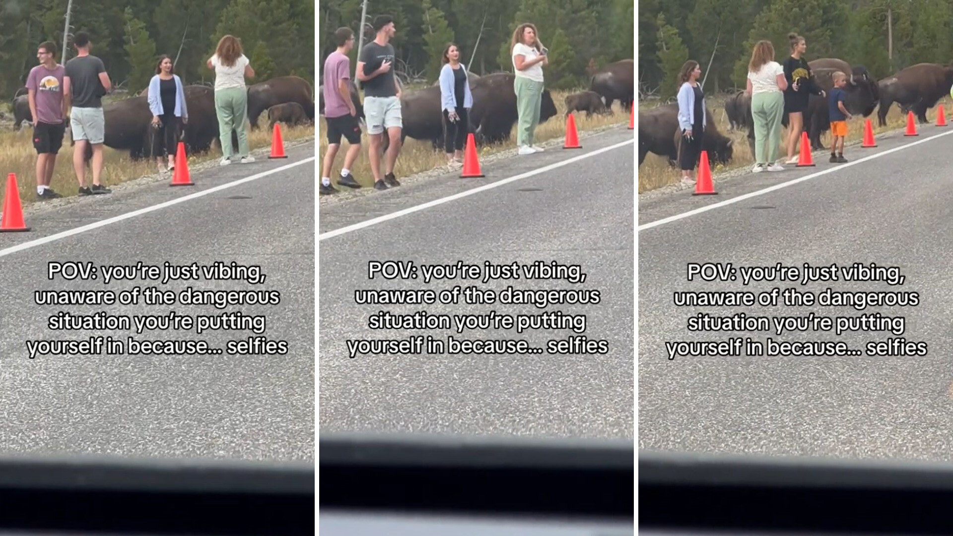 Video of family's life-endangering behavior at national park sparks ...