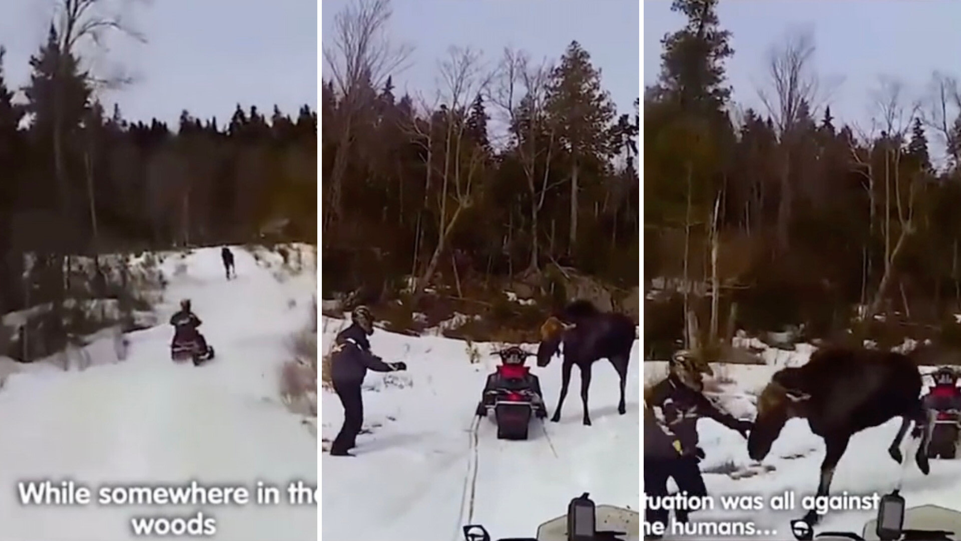 Dashcam footage reveals moment of instant karma after snowmobilers ...