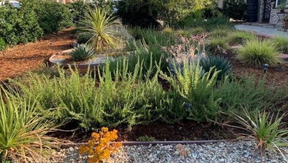 Homeowner shares unbelievable before-and-after photos of their unreal lawn transformation