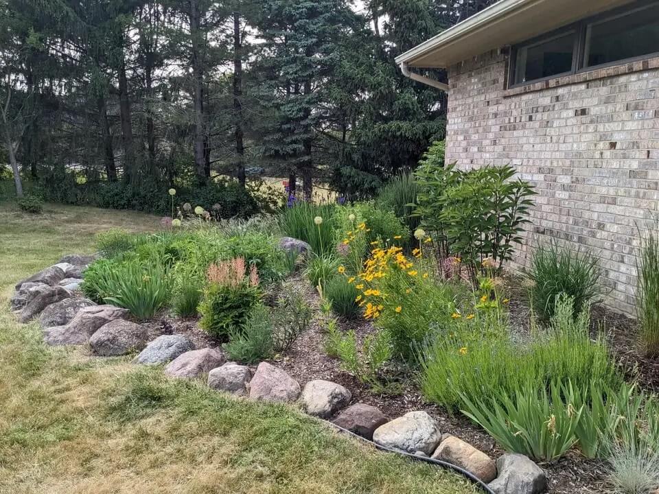 Homeowner turns traditional lawn into gorgeous rock garden and shares ...