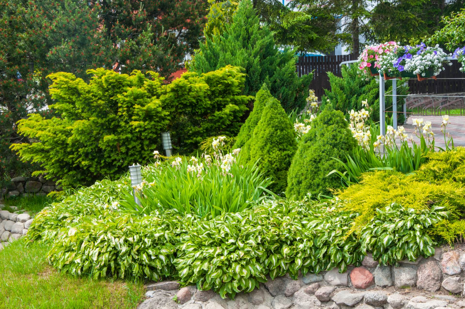 Landscaper reveals the ideal native plants for growing on a slope to ...