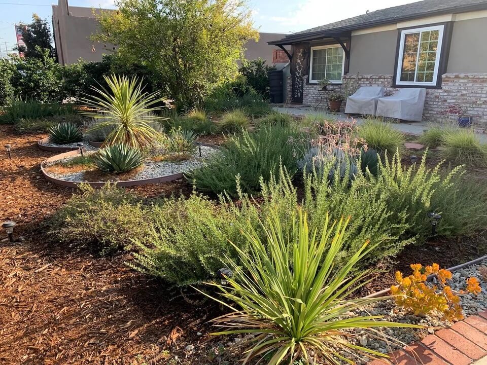 Homeowner shares unbelievable before-and-after photos of their unreal lawn transformation