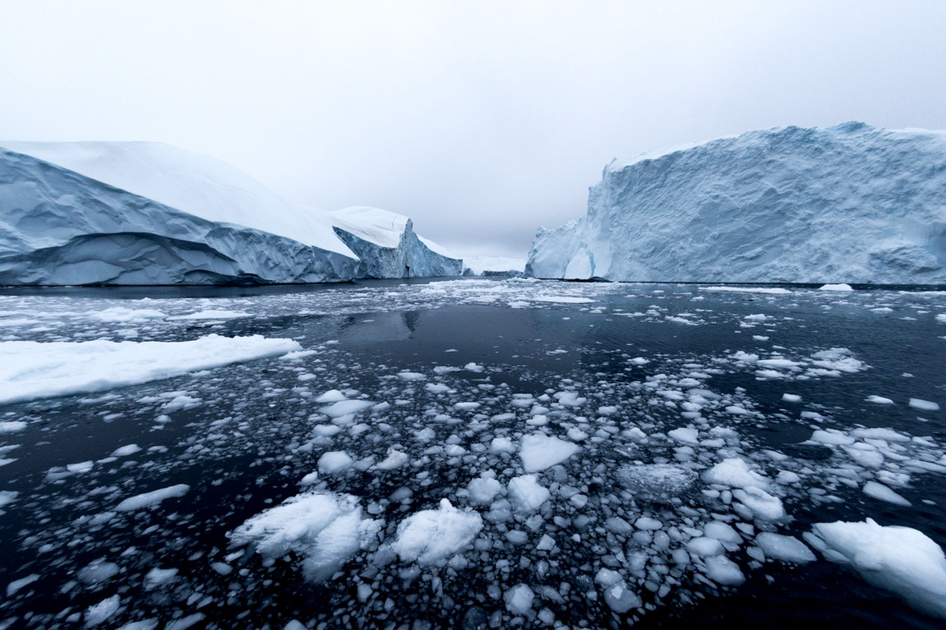 Scientists make disturbing discovery within remote waters of Arctic ...