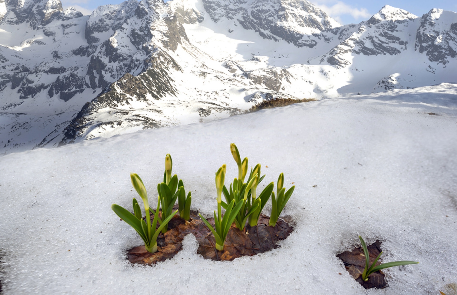 Scientists issue warning about a 'tipping point' that could change our ...